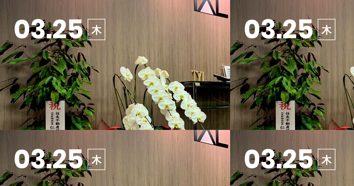 22卒！ペット×IT～に興味関心ある方！経営陣や若手社員と座談会 - 株式会社TYLの22卒のミートアップ - Wantedly